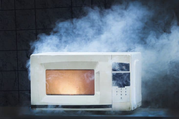 What Causes Plates To Break in the Microwave? | ApplianceTeacher