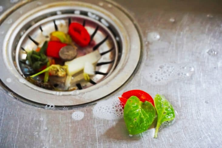 How To Keep Your Garbage Disposal From Rusting | ApplianceTeacher
