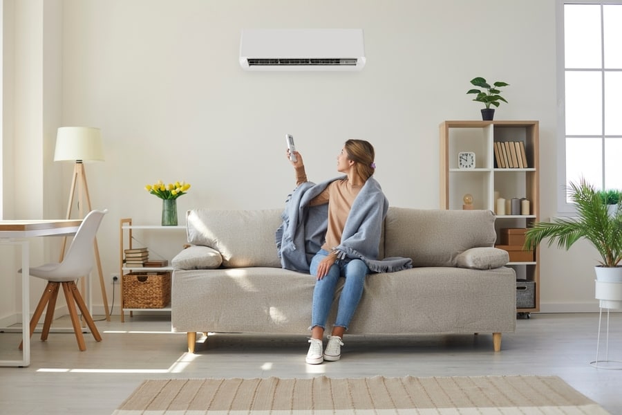 What To Do if a Bird Nests Is in Your A/C Unit | ApplianceTeacher
