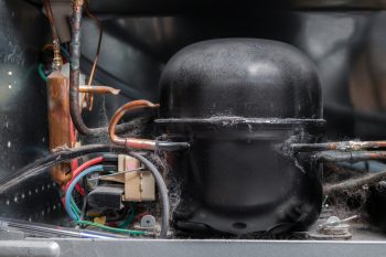 10 Signs a Refrigerator Is Dying | ApplianceTeacher