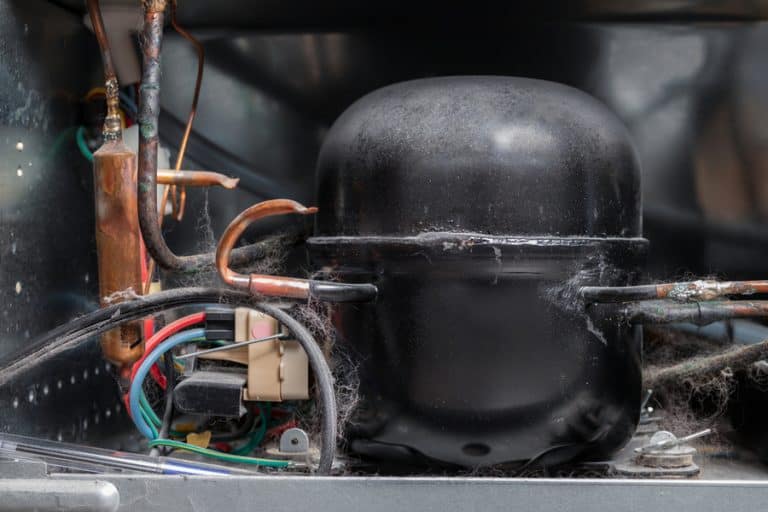10 Signs a Refrigerator Is Dying | ApplianceTeacher