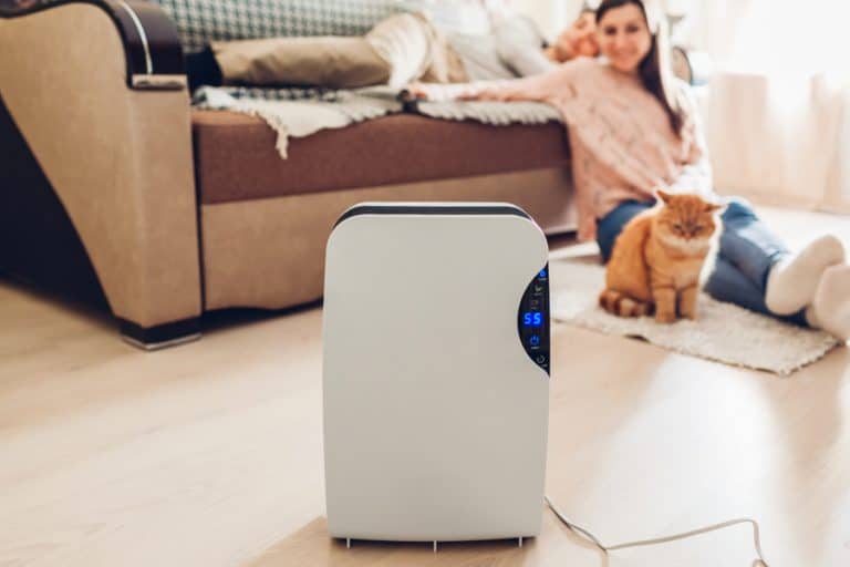 When To Run a Dehumidifier in the Basement? | ApplianceTeacher