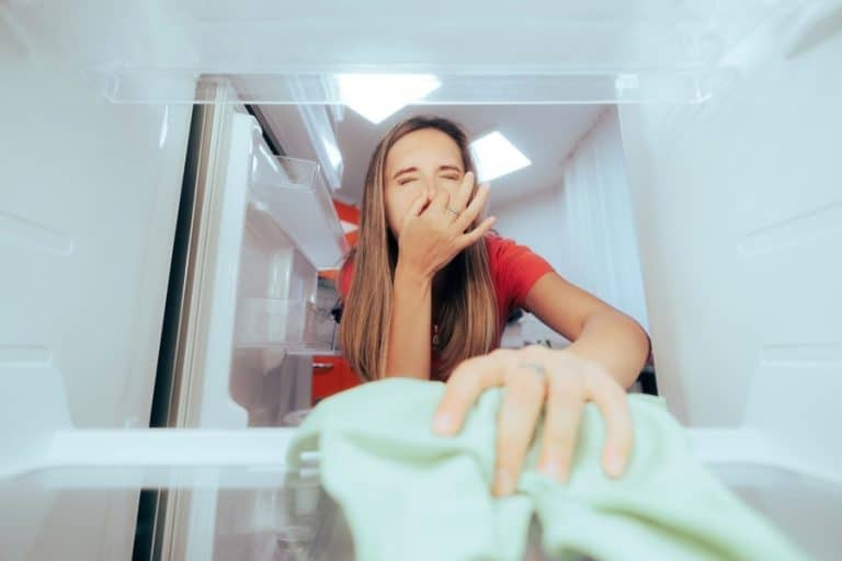 10 Signs a Refrigerator Is Dying | ApplianceTeacher