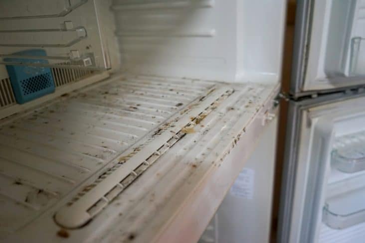 How To Prevent Mold in a Refrigerator | ApplianceTeacher