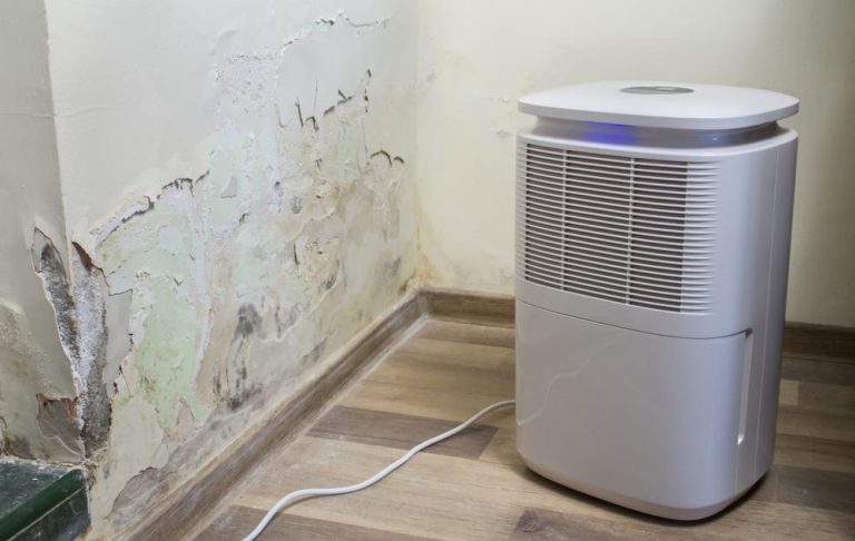 How Does a Dehumidifier Collect Water? | ApplianceTeacher